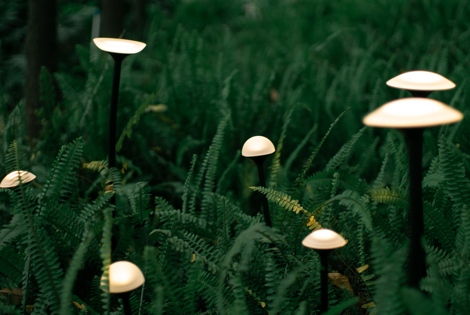Decorative Mushroom Spike Light – Garden Feature Lighting IP65